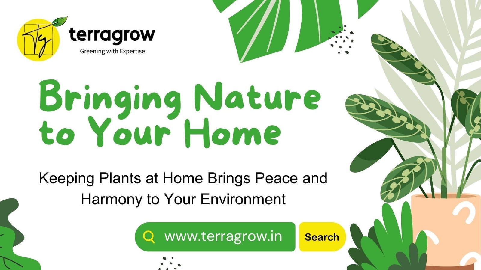 Bringing Nature Home - Terragrow